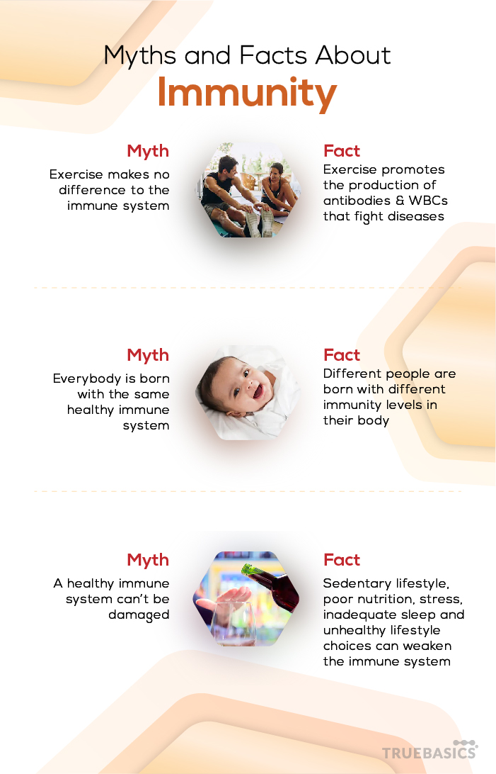 9 Myths and Facts About Immunity - Truebasics Blog