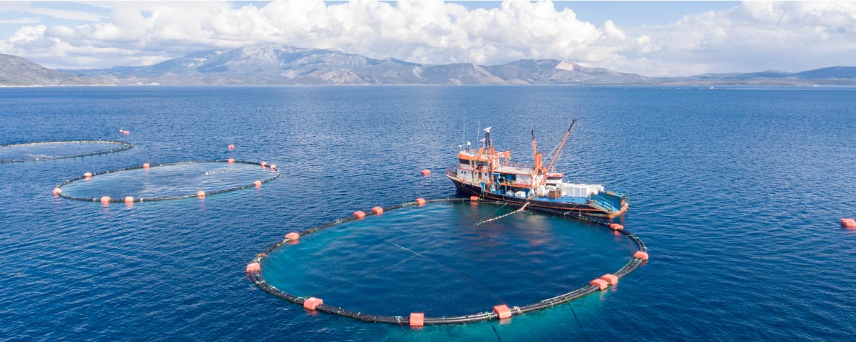 Eco-harvesting: For a better tomorrow - Truebasics Blog