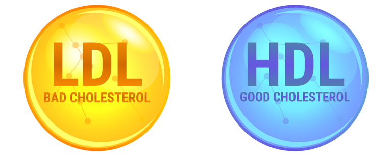 LDL vs HDL cholesterol - Is all cholesterol bad? - Truebasics Blog
