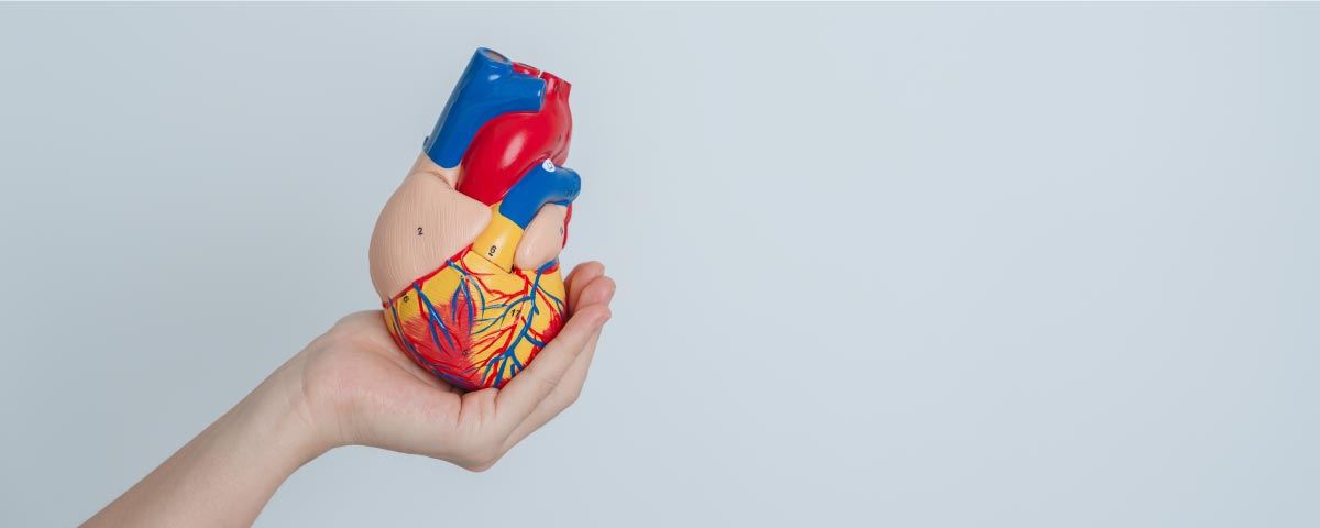 Cardiovascular diseases: Symptoms, causes and prevention