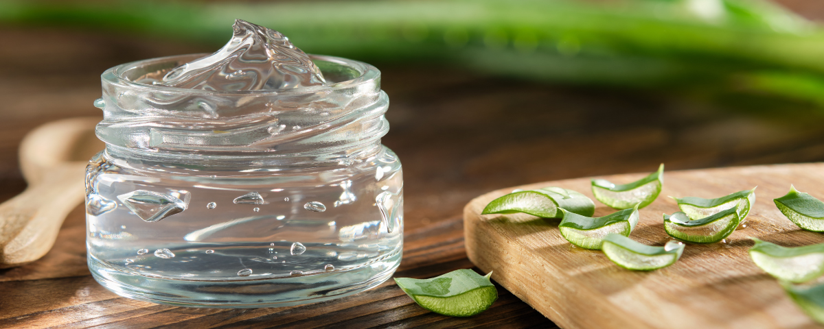 Aloe Vera Gel For Skin Know The Benefits Truebasics Blog